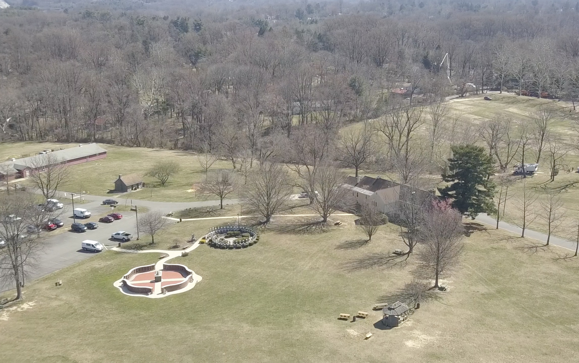 Hazardous Tree Removal at the Historic Rose Tree Park - Executive Tree Care