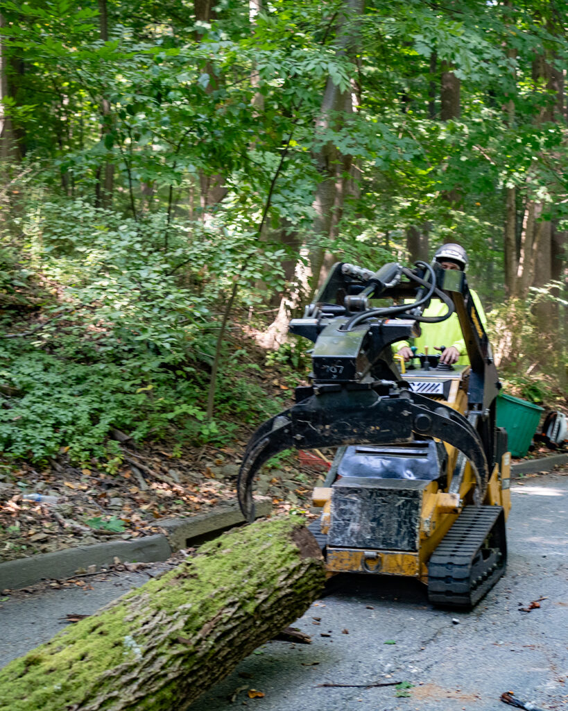 Executive Tree Care: Proudly Serving South Eastern Pa. Since 2009