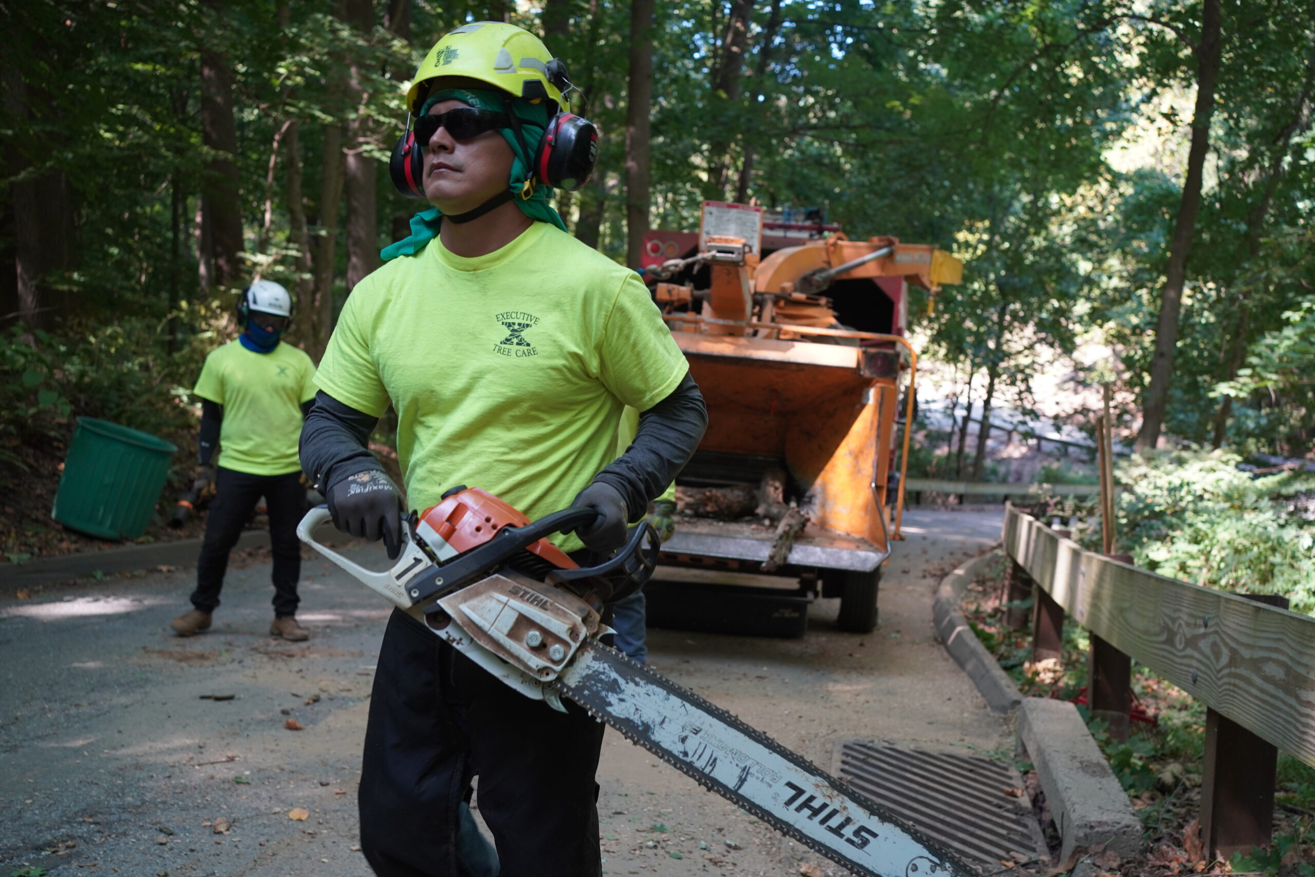 How to Find the Best Tree Care Service in Philadelphia - Executive Tree ...
