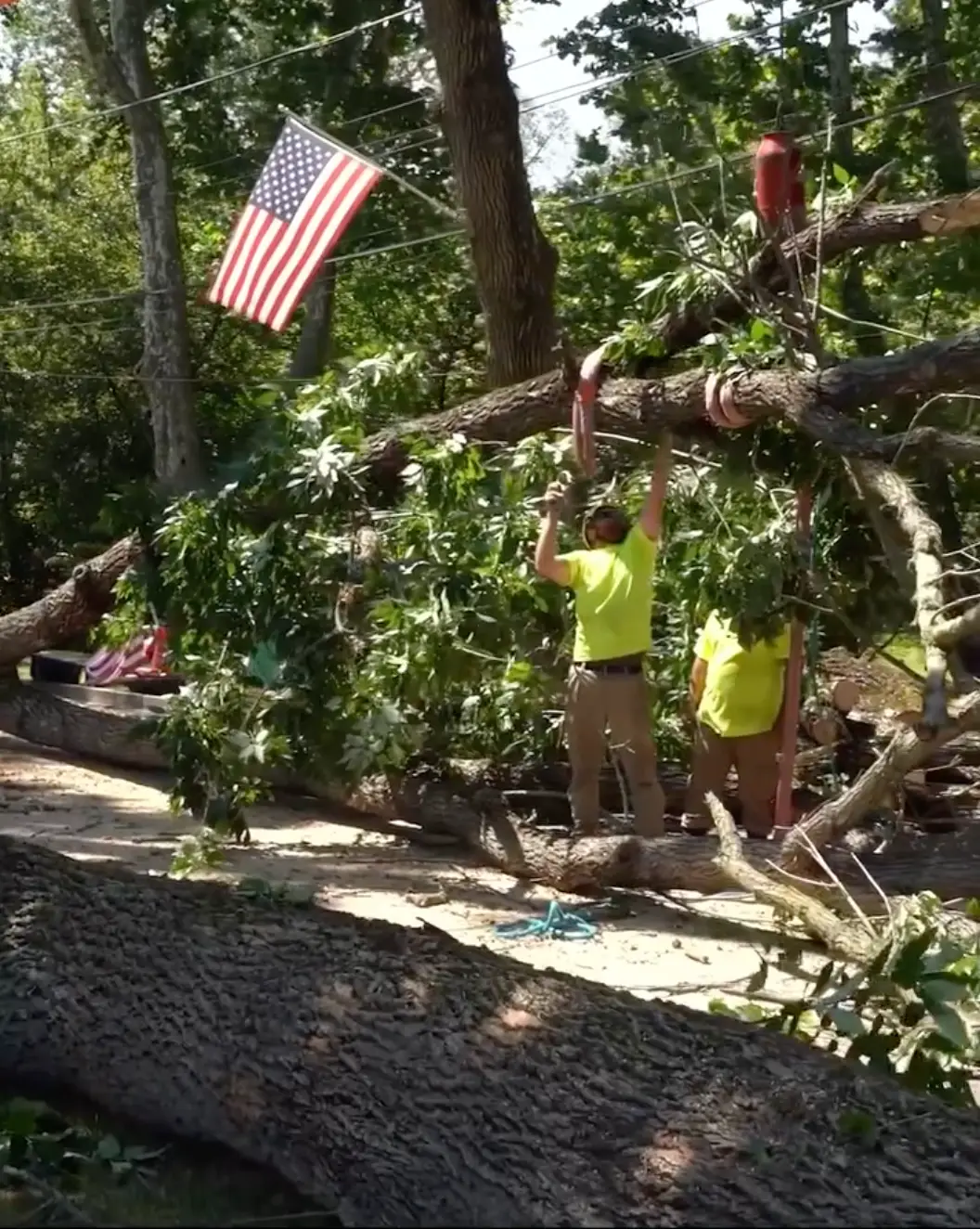 The Best Part About My Job is Helping Others Out - Executive Tree Care