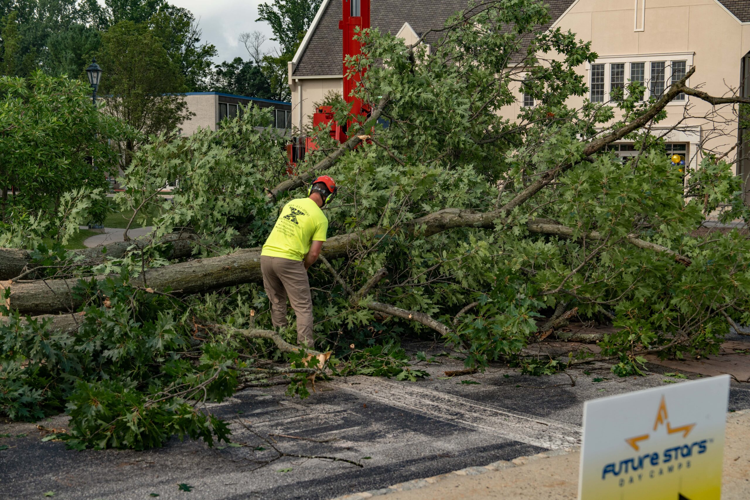 Why Hiring a Certified Arborist Matters for Your Trees and Your ...